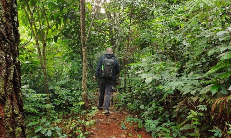Trekking Puncak Curug Cilember - Highland Camp